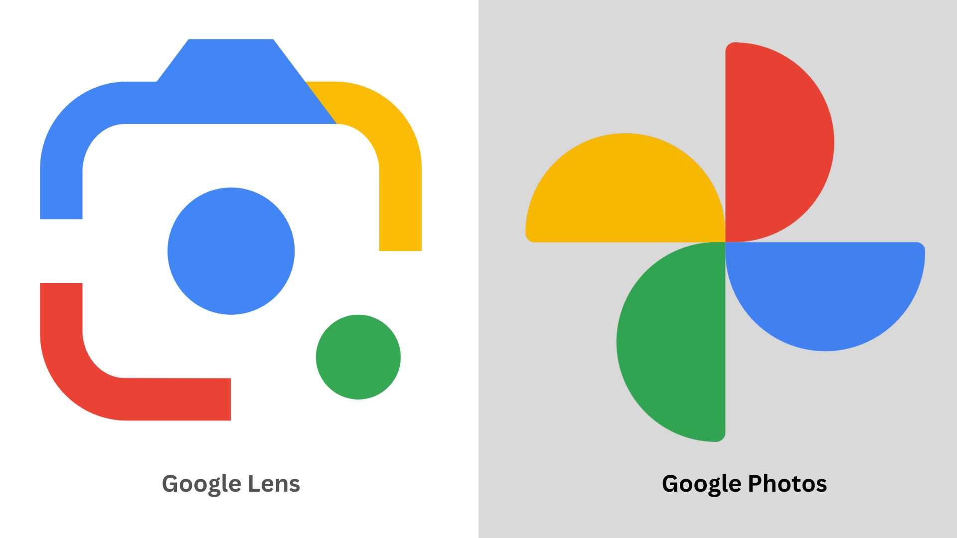 How to Use Google Lens Features in Google Photos - TechGuy How to Use Google Lens Features in Google Photos - TechGuy